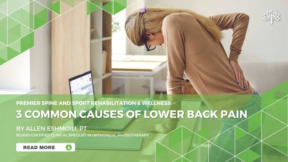 3 Common Causes of Lower Back Pain